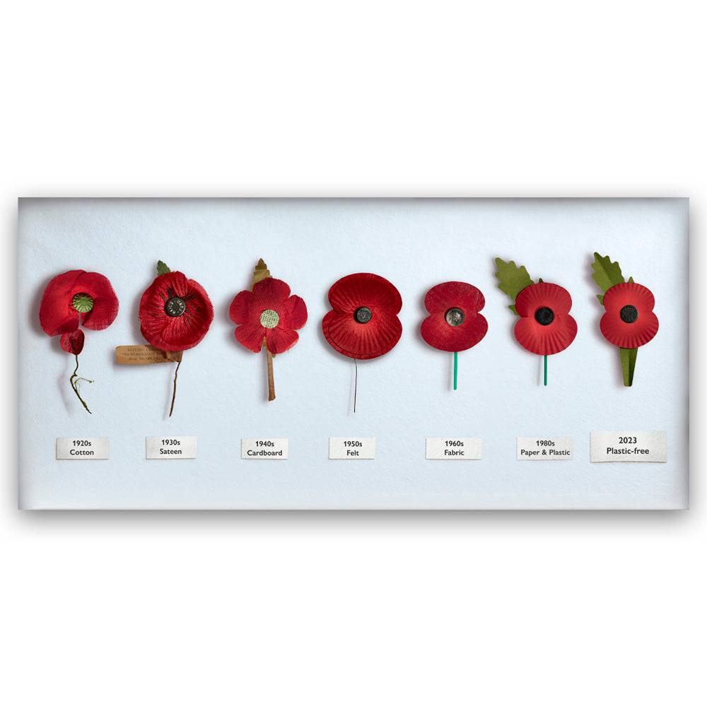Evolution of the Poppy A3 Print | Poppy Shop UK