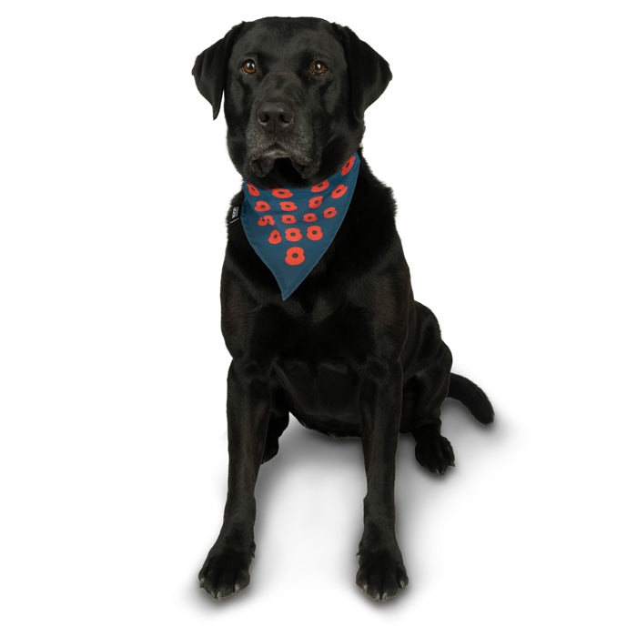 Poppy Pet Bandana | Poppy Shop UK