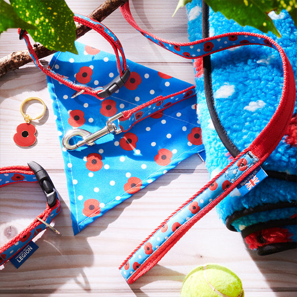 Poppy Shop UK | Charity Gifts | The Royal British Legion Shop