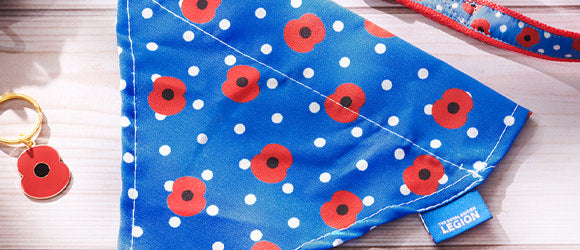 Poppy Shop UK | Charity Gifts | The Royal British Legion Shop